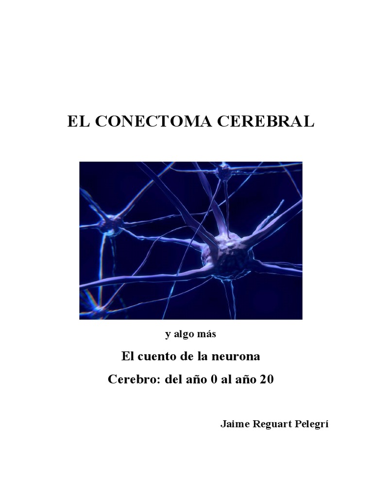 Conectoma cerebral y desarrollo neuronal | PDF | Neurona | Cerebro