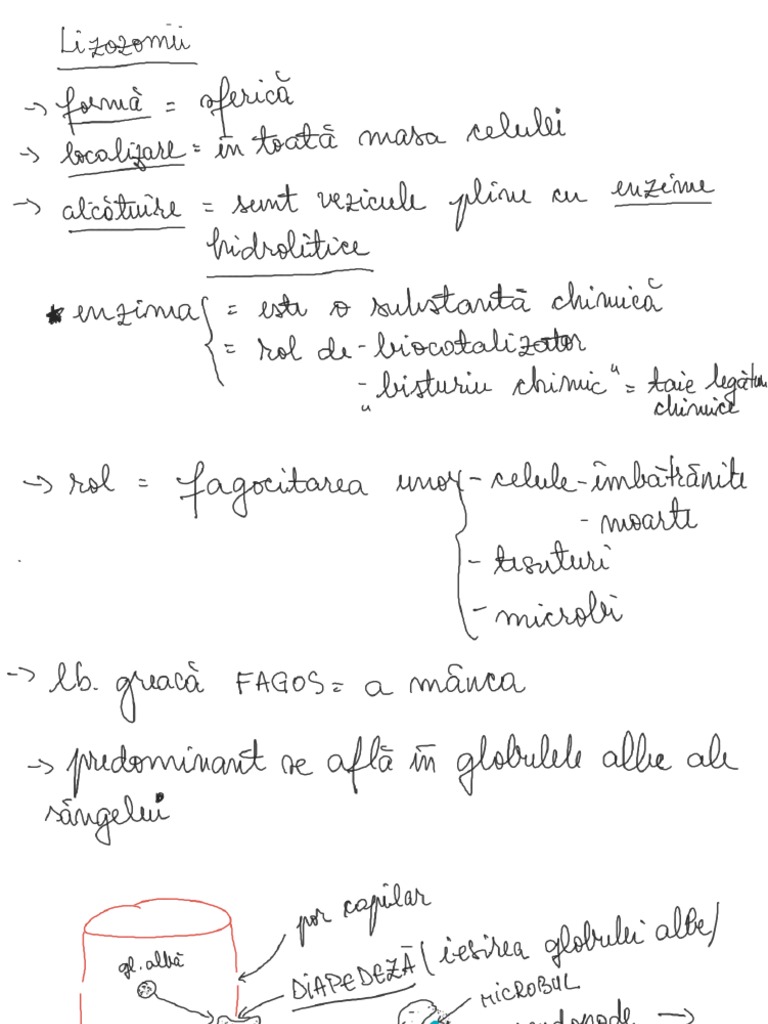 7 Lizozomii, Centrozomul, 2 Org Specifice Și Nucleul | PDF