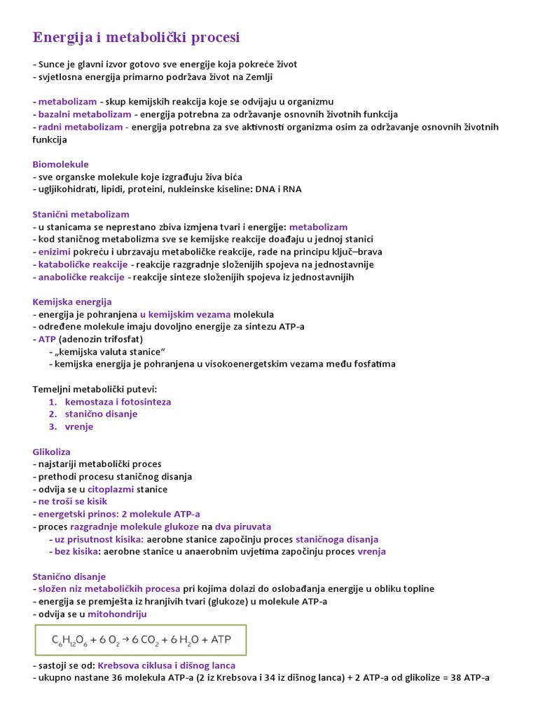 Energija I Metabolički Procesi | PDF