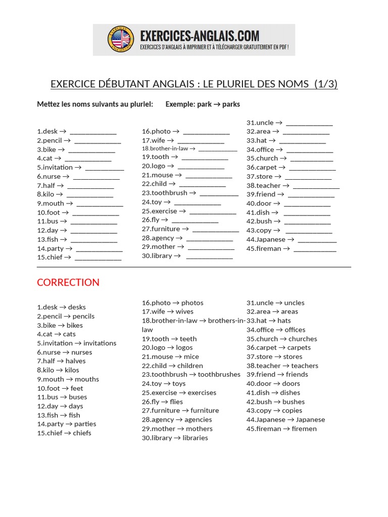 8 Exercice Anglais Pluriel Des Noms 1 | PDF