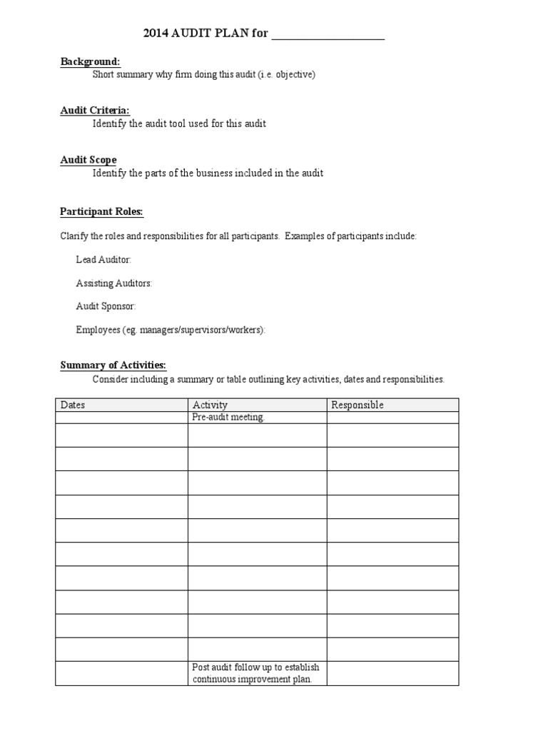 Exercise 1 Sample Audit Plan | PDF | Audit | Business