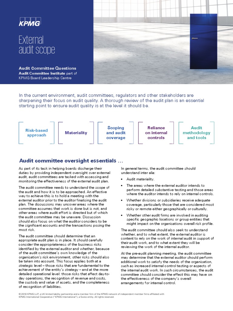 external-audit-scope | PDF | Financial Audit | Audit