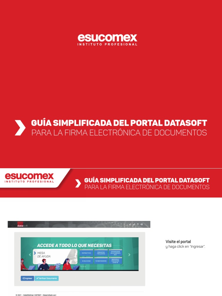 Manual Datasoft | PDF | Informática