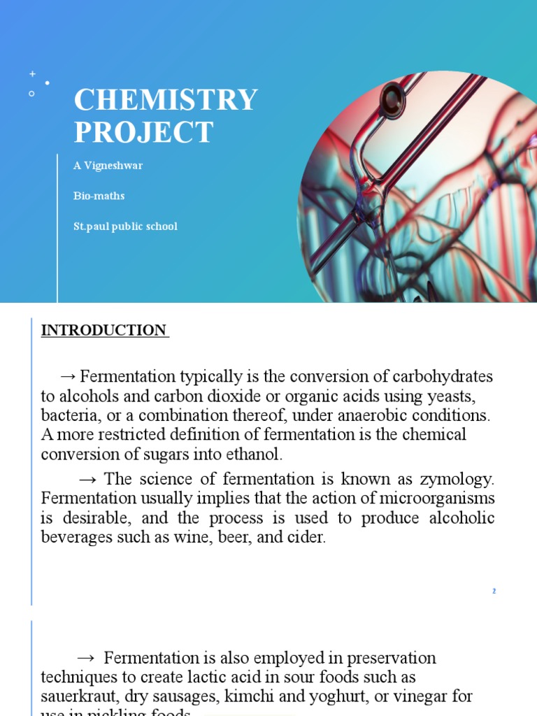 Chemistry Project | PDF | Fermentation In Food Processing | Chemistry