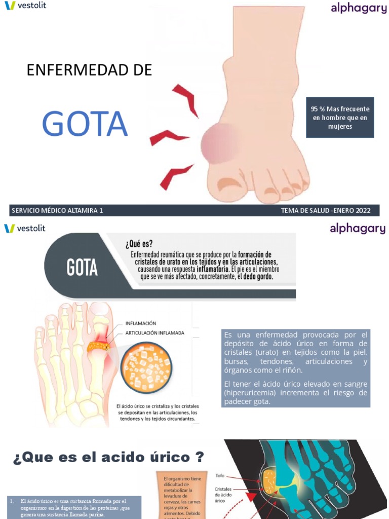 GOTA | PDF | Gota | Causas de la muerte