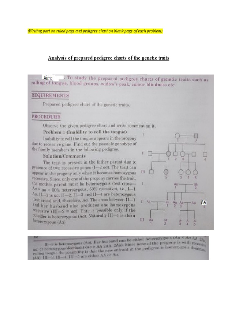 Pedigree Chart | PDF