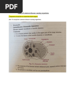 Biology Lab Manual 2024-2025 | PDF | Dominance (Genetics) | Meiosis