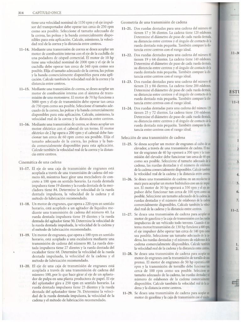 Problemas Sobre Cadenas y Catarinas | PDF