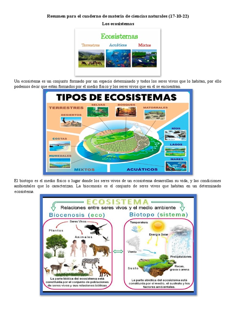Ecosistemas 17 10 22 | Descargar gratis PDF | Red alimentaria | Ecosistema