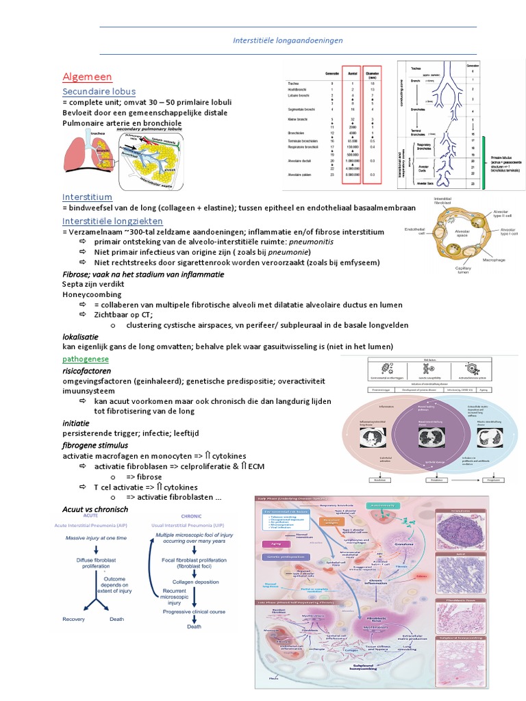 Interstitiële Longaandoeningen | PDF
