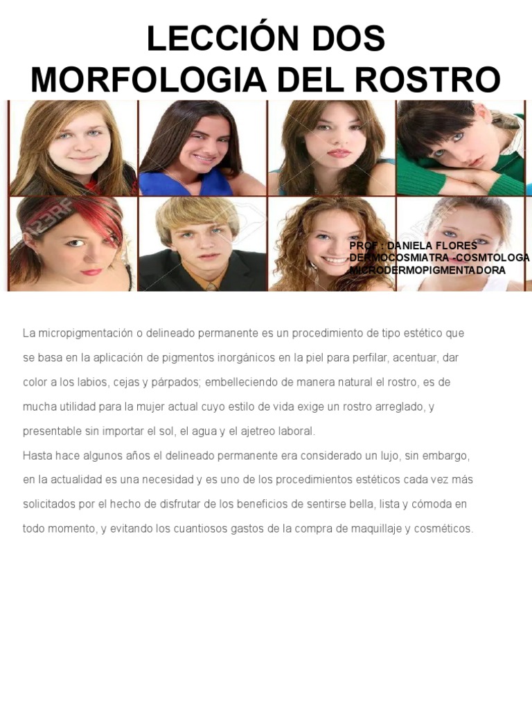 LECCION Dos MORFOLOGIA DEL ROSTRO | PDF | Cara | Ceja