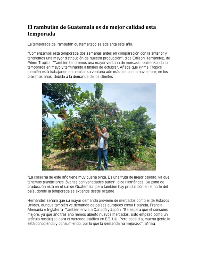 Produccion de Rambutan | PDF | Economias