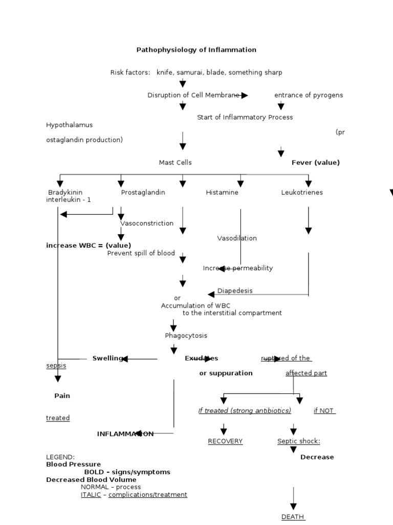 Pathophysiology of Inflammation | PDF | Fever | Inflammation