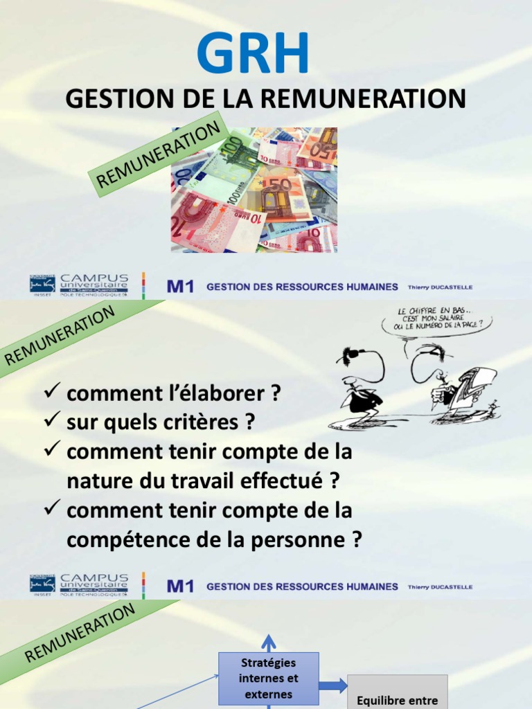 Stratégies de Gestion de la Rémunération | PDF | Salaires | Stock ...