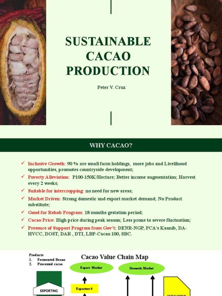 Sustainable Cocoa Farming Insights | PDF | Cocoa Bean | Chocolate