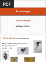 Sintomas da Tungíase e Cuidados | PDF | Doenças e distúrbios | Remédio