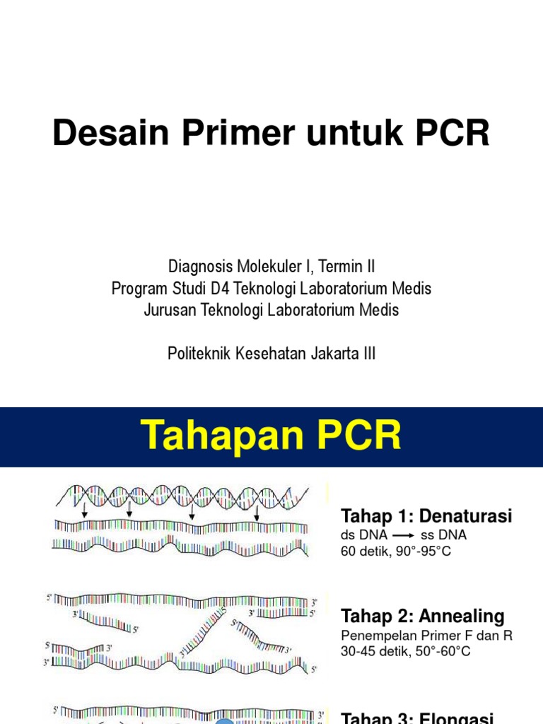 Design Primer Pdf Primer Molecular Biology Polymerase Chain