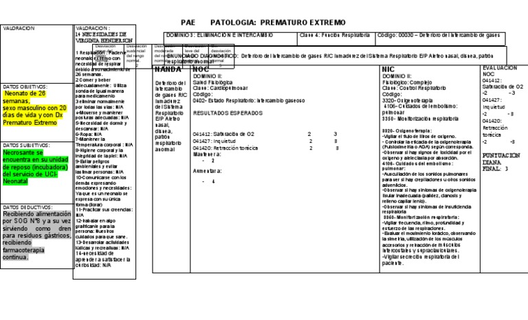 PAE NEONATO Terminado Actualizado | PDF | Sistema respiratorio ...