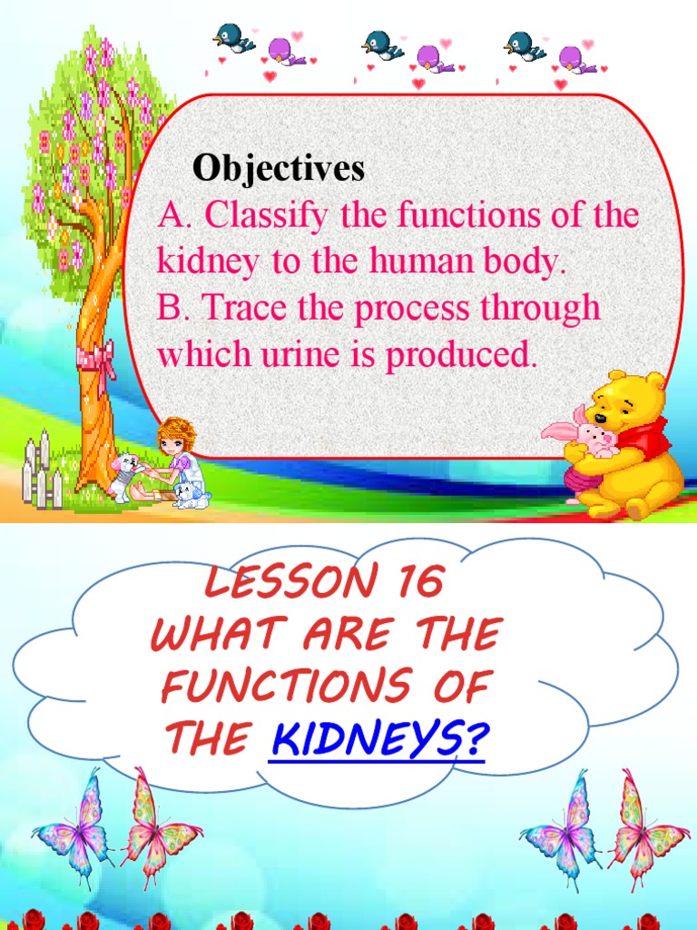 Lesson 16 - What Are The Functions of The Kidneys | PDF | Kidney ...