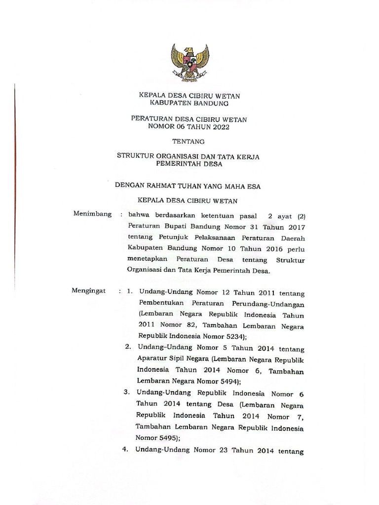 Perdes 06 2022 Struktur Organisasi Dan Tata Kerja Pemerintah Desa Sotk ...