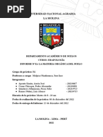 Epipedon y Endopedon | PDF | Arcilla | Suelo