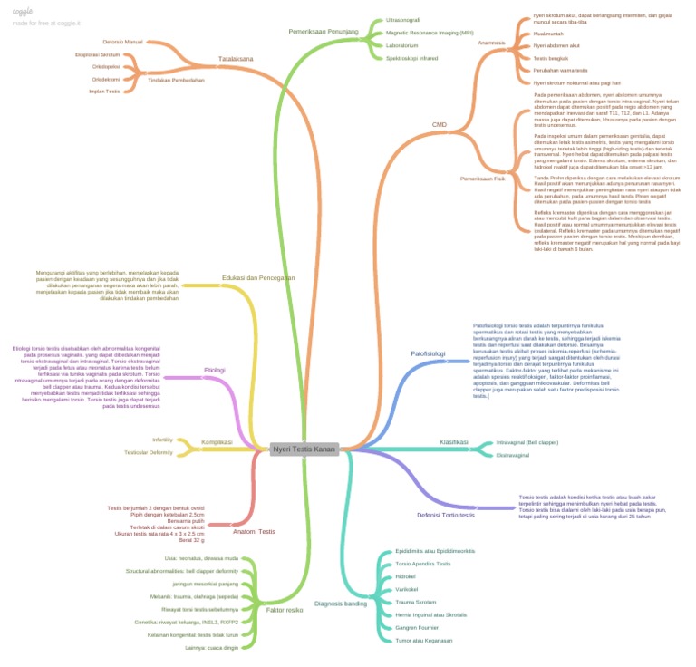 Mind Map SGD Tortio Testis - Laden - 2008260046 | PDF