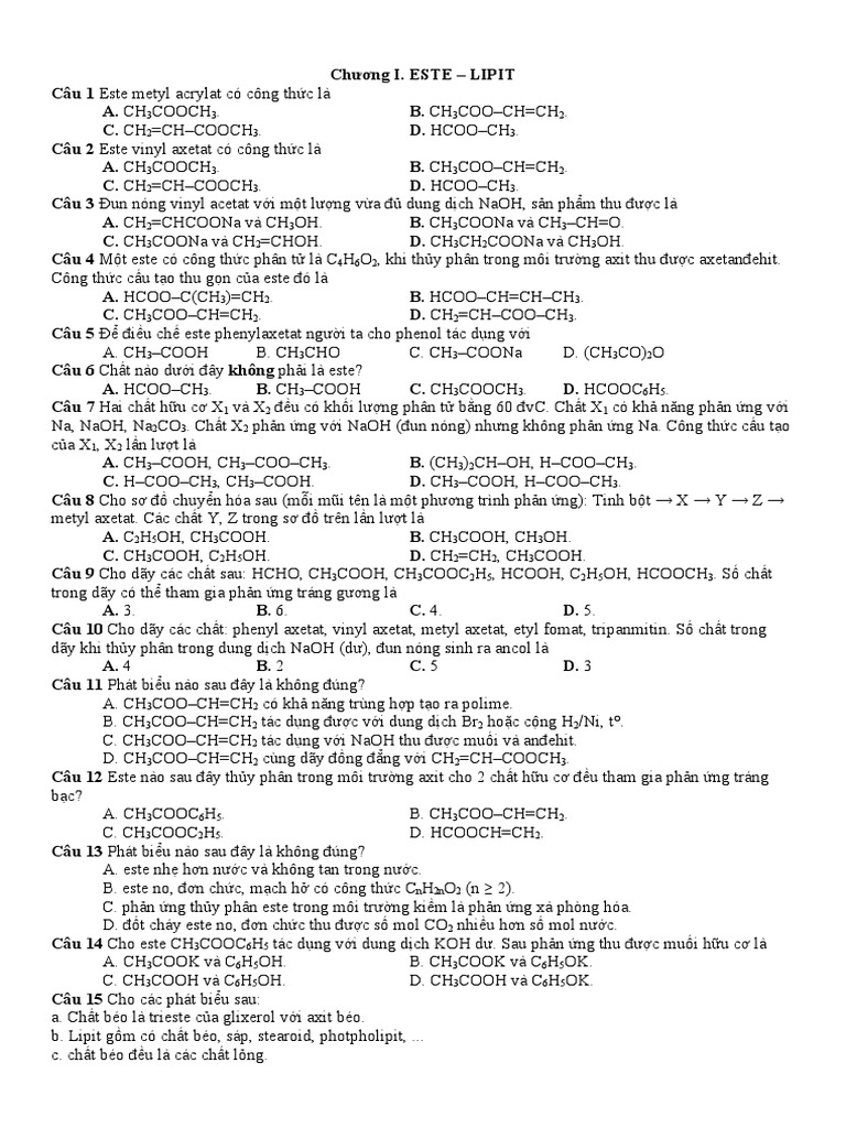 De Cuong Hoa 12 hk1 | PDF