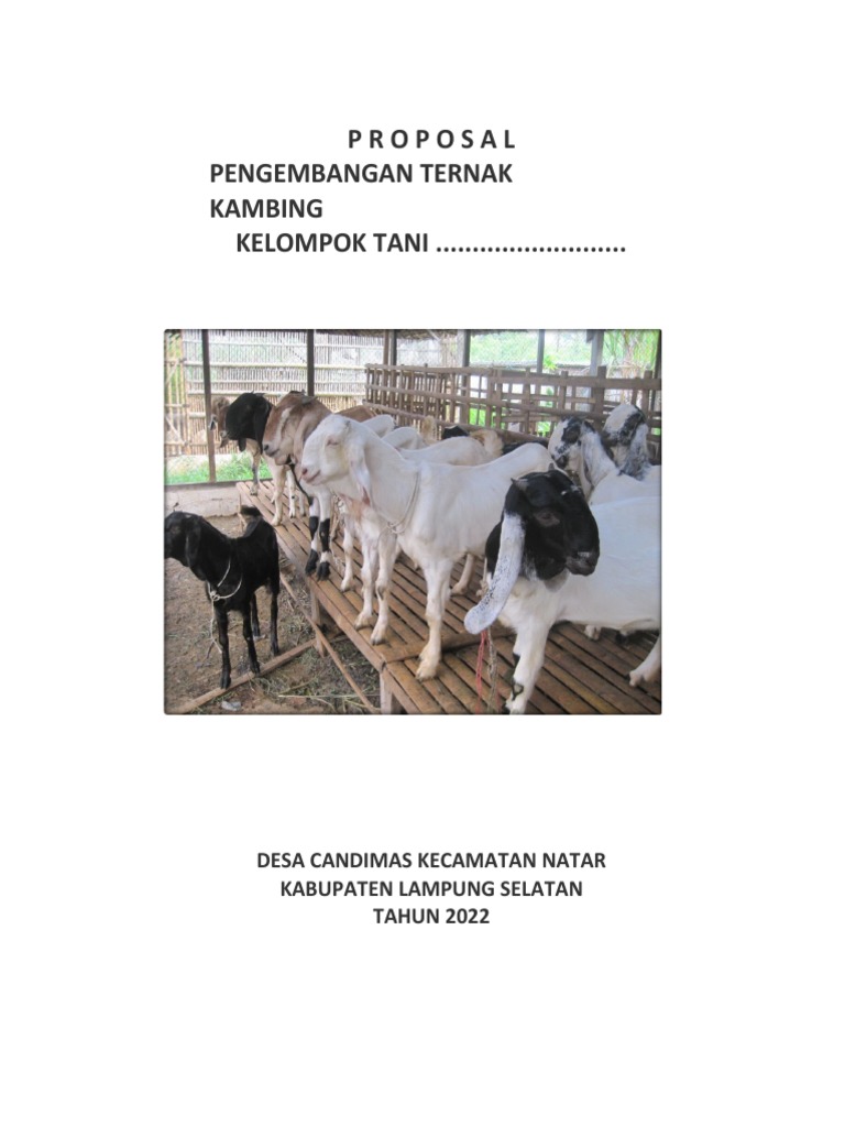 Proposal Kambing | PDF