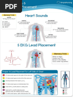 034 NHA NOW EKG Technician Practice Test | PDF | Electrocardiography ...