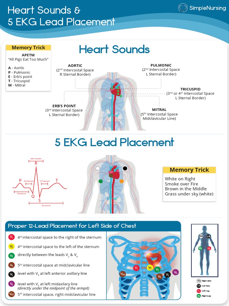 Heart Sounds & 5 EKG Lead Placement | Download Free PDF ...