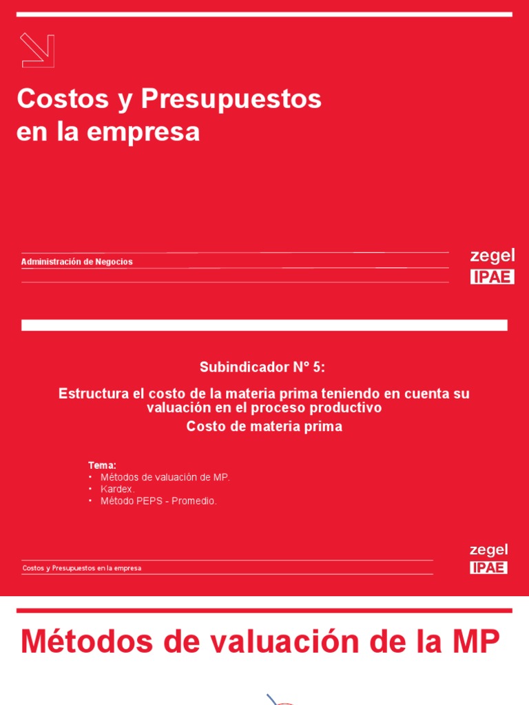 Costos y Presupuestos de La Empresa 5 | PDF | Presupuesto | Economias