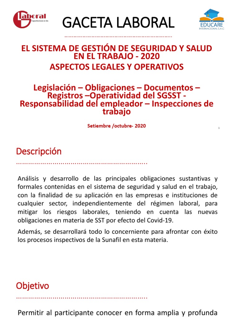 00 PPT SST Presentación Sesión 1 | PDF | Business | Seguridad y salud ocupacional