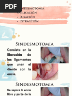 Extracción de Restos Radiculares Dentales | PDF | Boca | Odontología