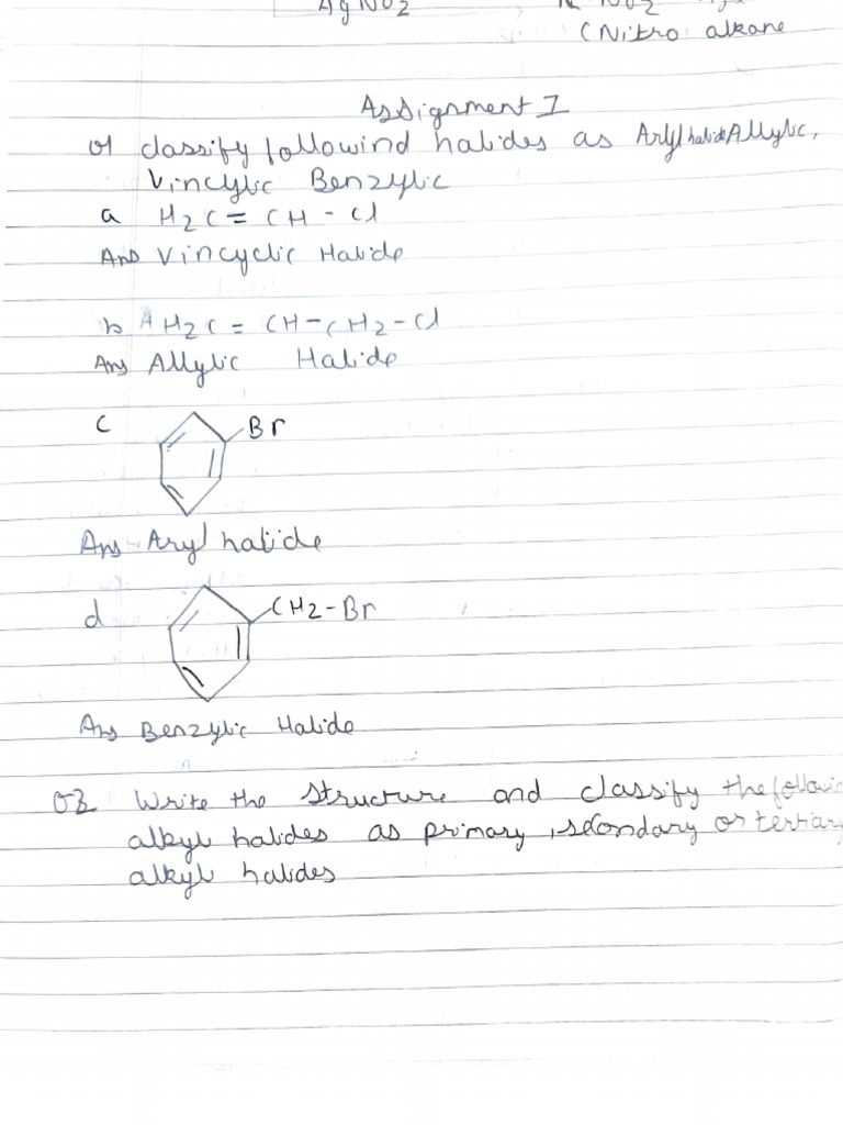 Answer of Chem Assignment 1 Halogen Derivatives | PDF
