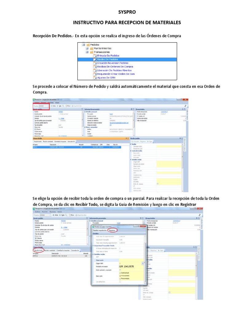 Instructivo Syspro | PDF