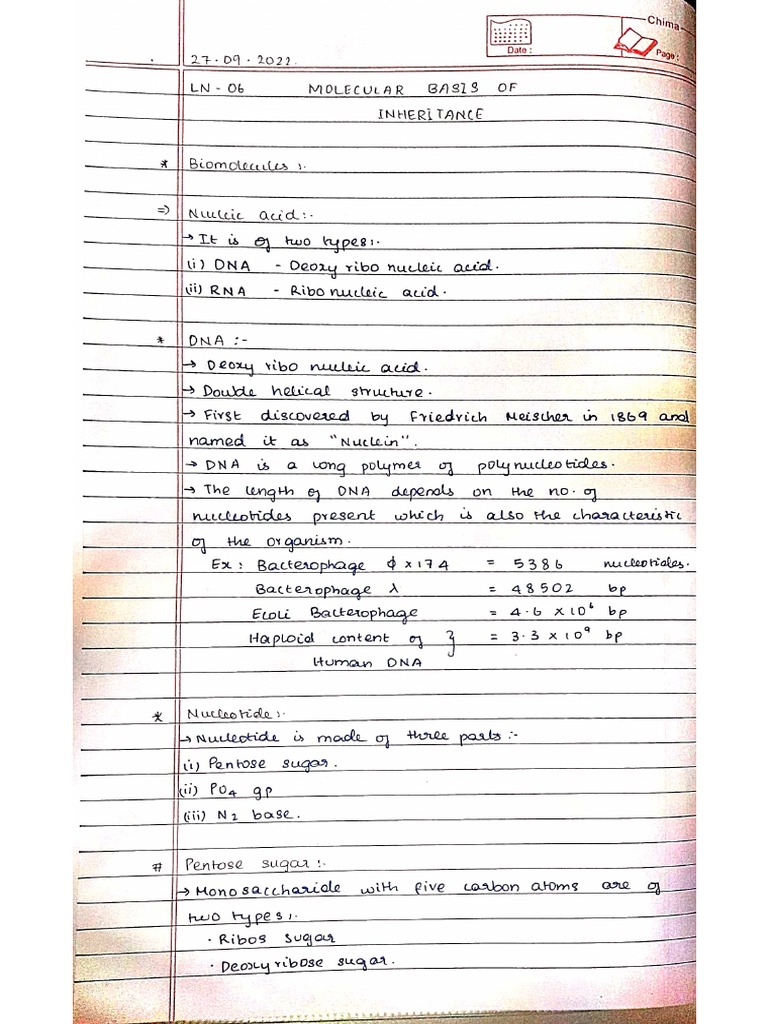 Bio Notes (MBI) | PDF