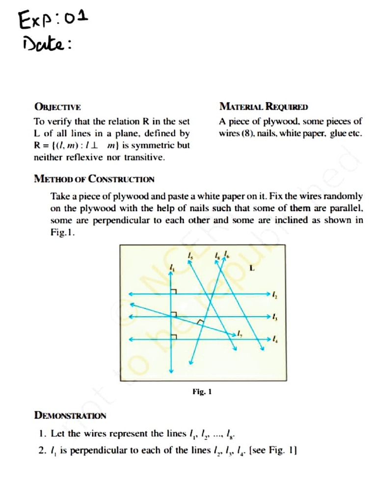 Class 12 Maths Activities | PDF | Mathematical Concepts | Mathematics