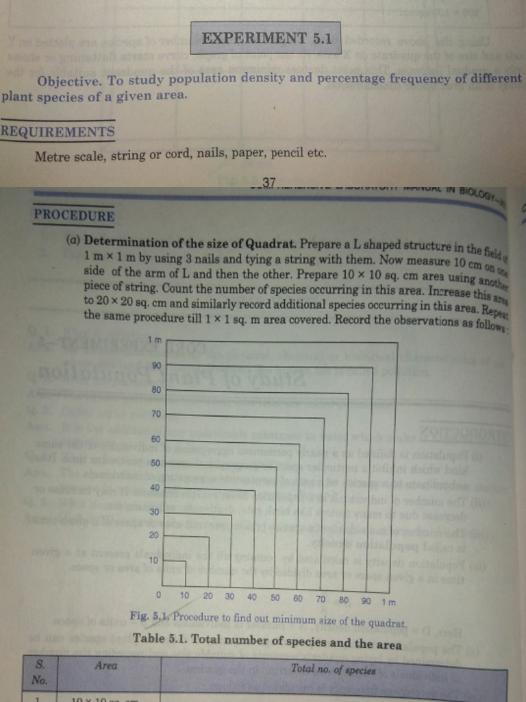 Experiment 11 | PDF | Science