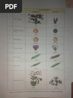 Class 12 Biology Experiment TS of Testes and LS of Ovary | PDF
