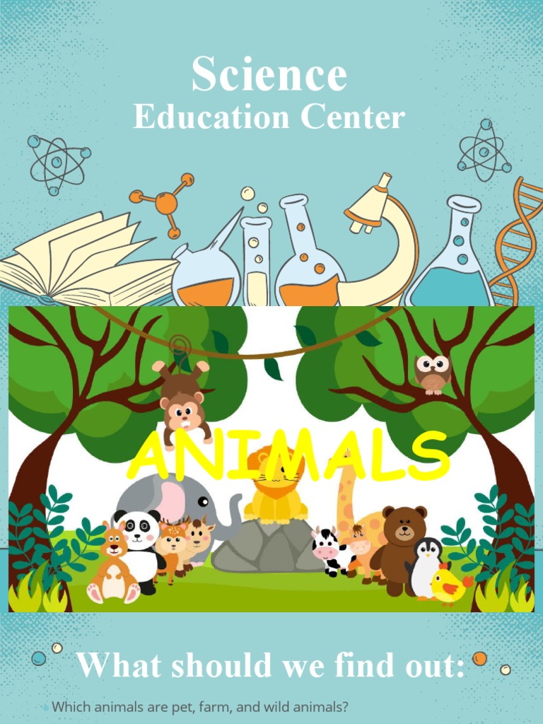 More About Animals | PDF