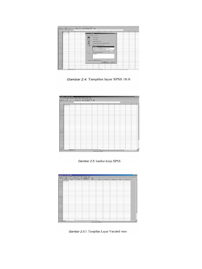 Gambar Spss | PDF