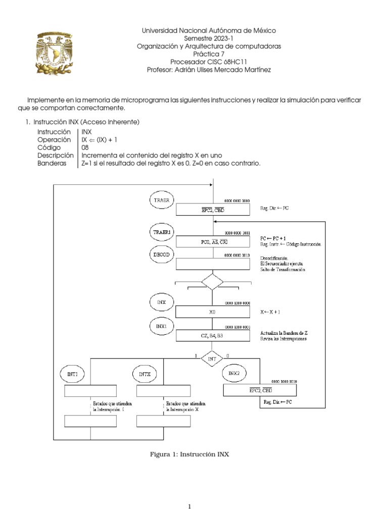 PR Ctica 7 Oac | PDF