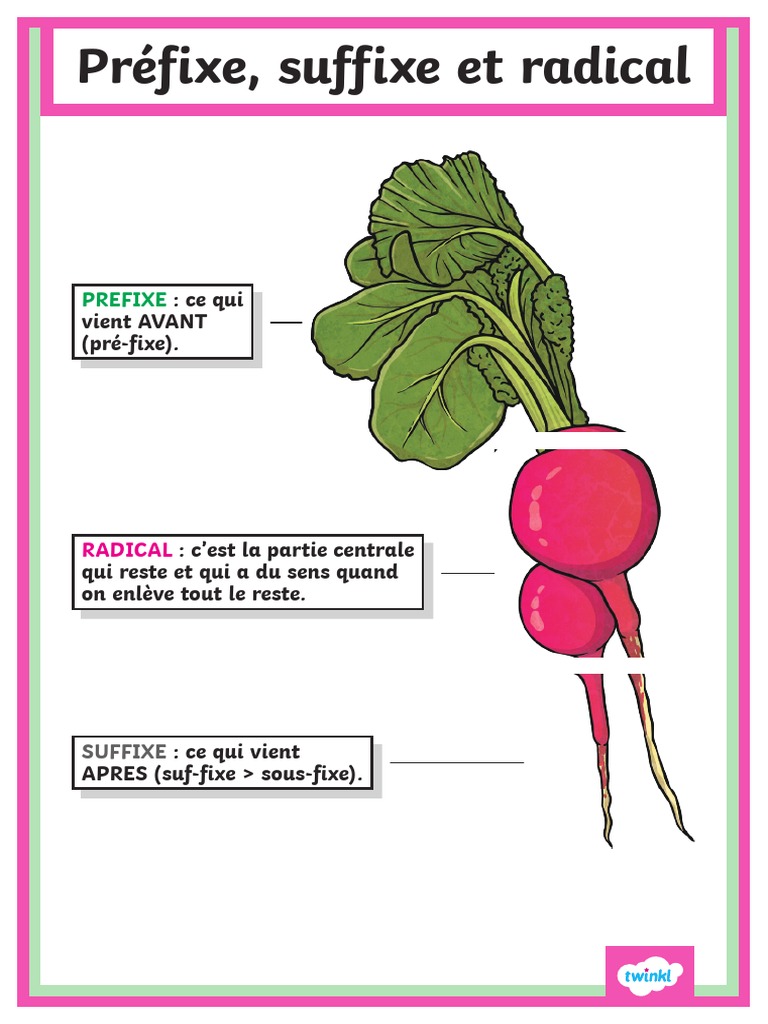 Préfixe, Suffixe et Radical en Français | PDF
