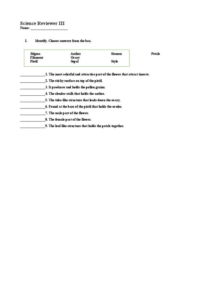 Parts of a Plant for Kids | PDF | Flowers | Seed