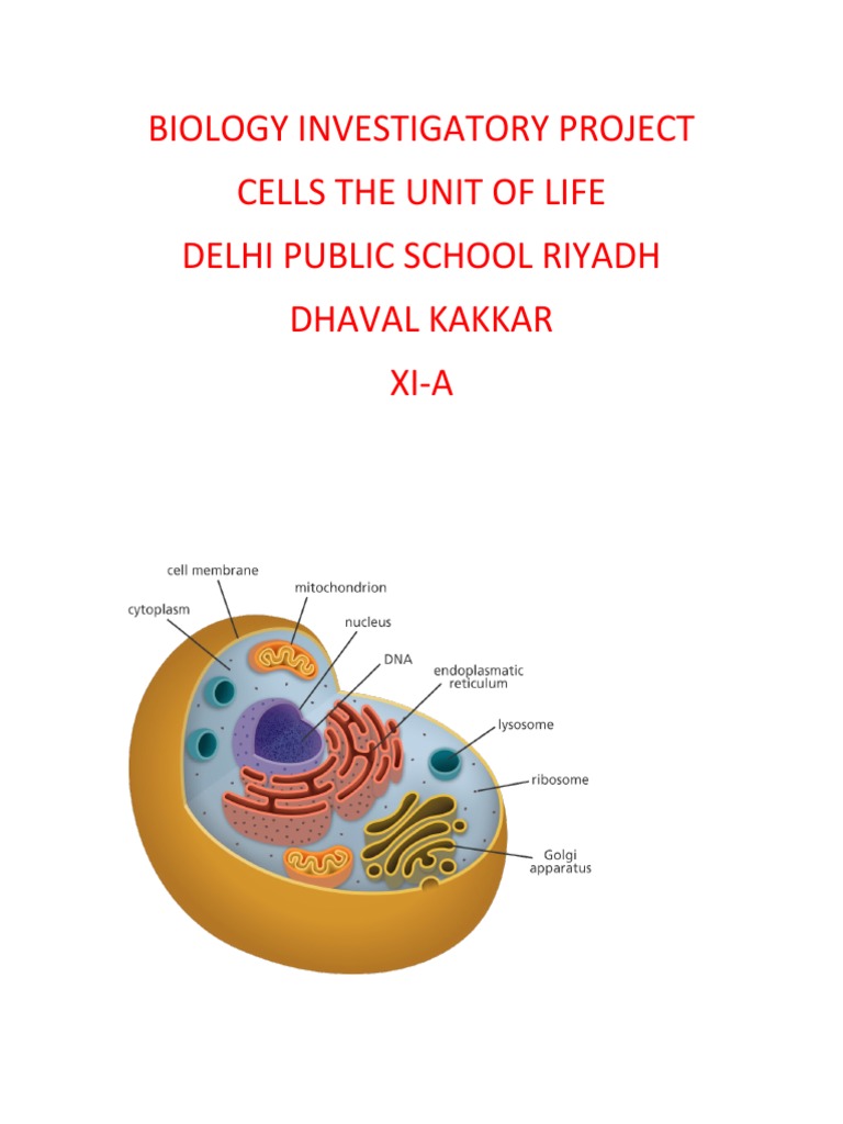 BIOLOGY INVESTIGATORY PROJECT (Cell The Unit of Life) | PDF | Cell ...
