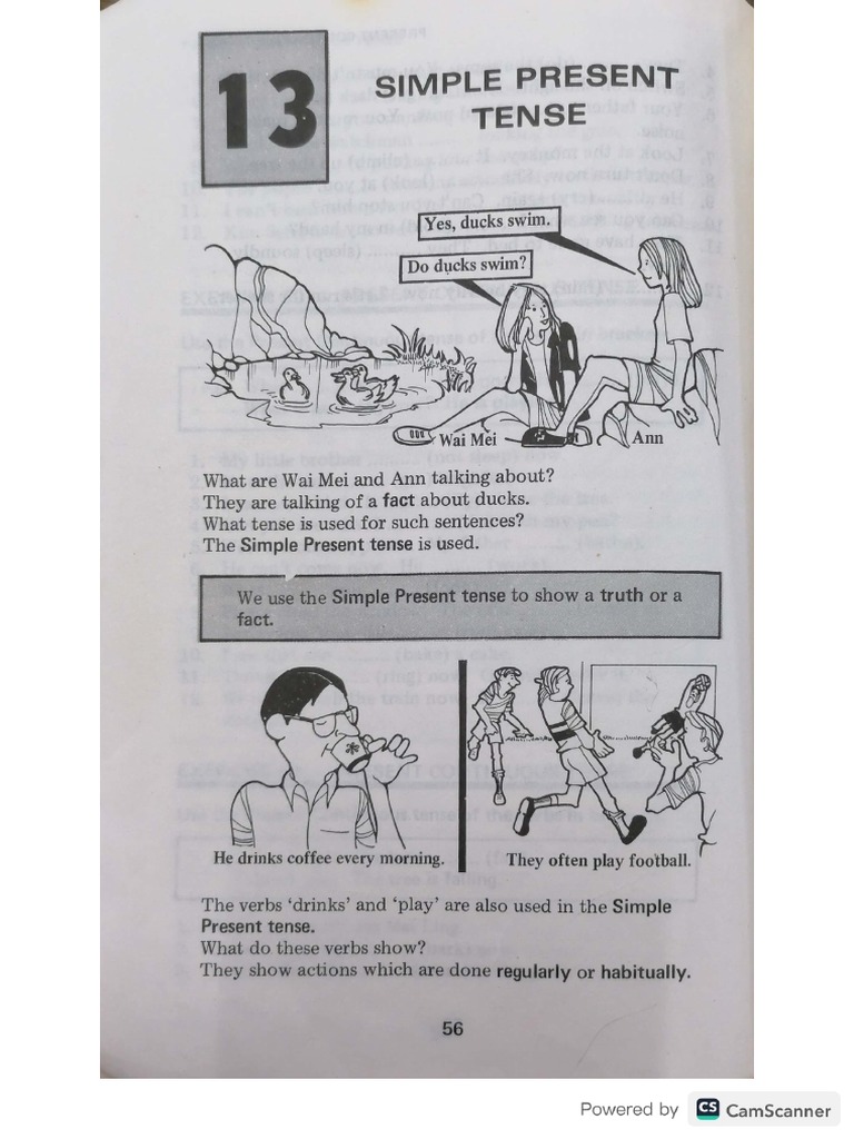 Simple Present Tense | PDF