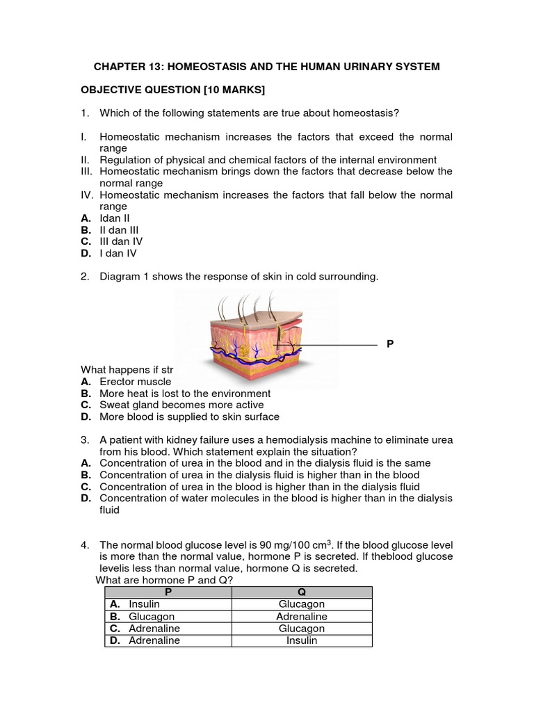 101 MODUL HEBAT BIO 2021_PDF_ENG-65-70 | PDF | Homeostasis | Endocrine System