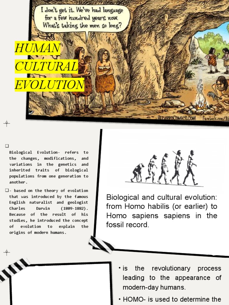 Human Cultural Evolution Pdf Homo Pleistocene