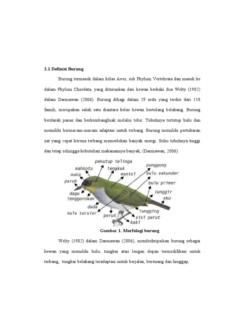 2.1 Definisi Burung | PDF | Sains & Matematika | Teknologi & Rekayasa