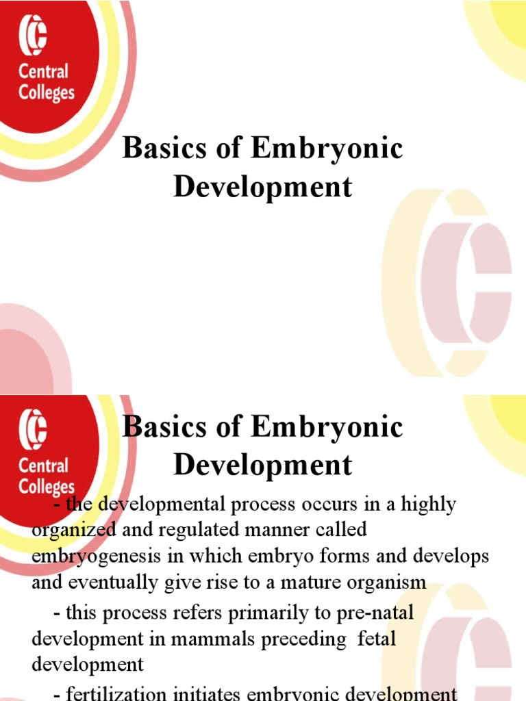 BASICS OF EMBRYONIC DEVELOPMENT | PDF | Respiratory System | Embryo